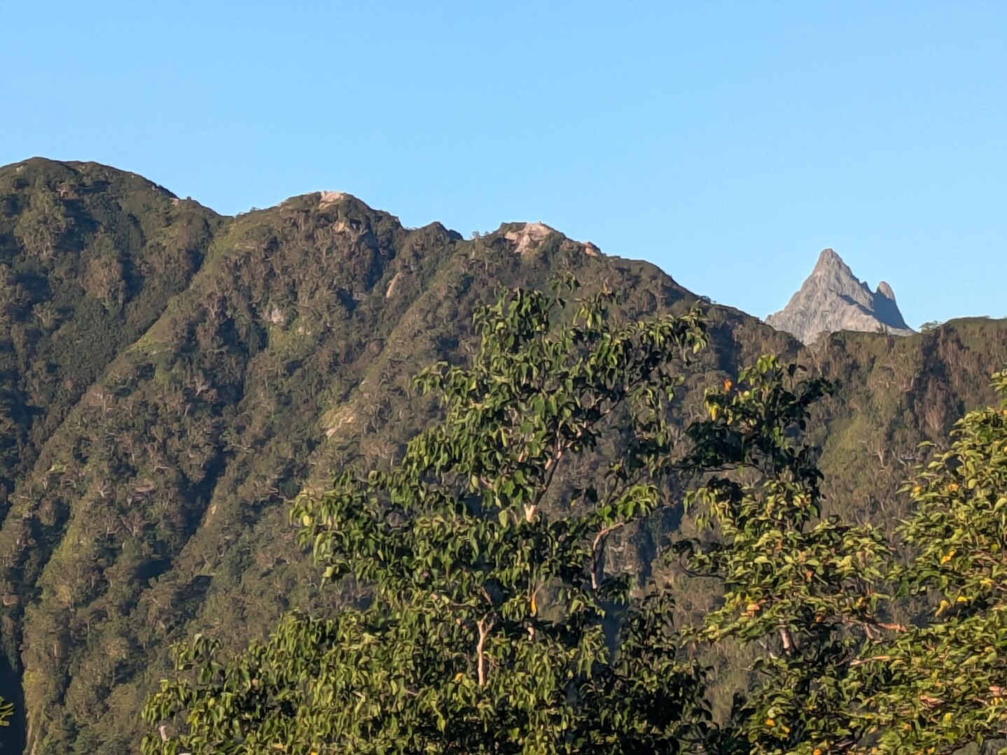 今期、初アル⛰️ / hottyさんの燕岳・餓鬼岳・唐沢岳の活動日記 | YAMAP / ヤマップ