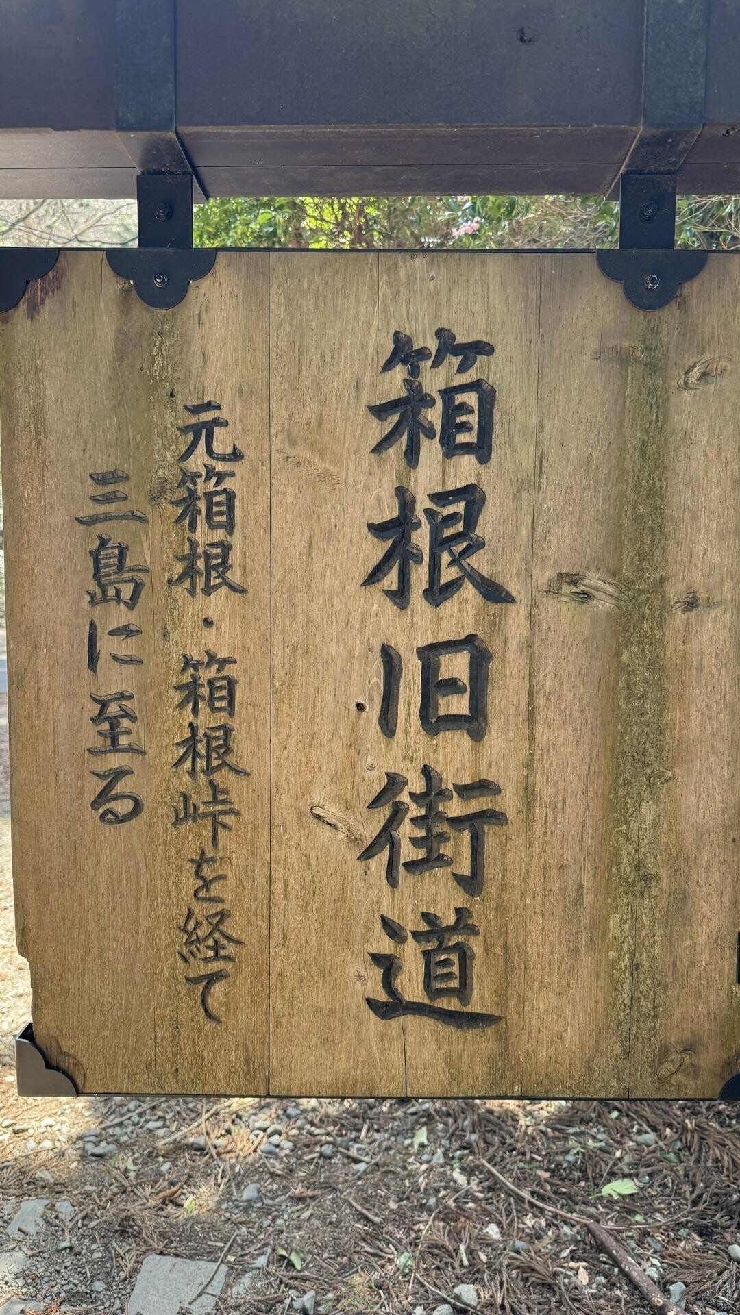 TR:箱根湯本駅→三島駅 / panda_photoさんの幕山・南郷山の活動データ | YAMAP / ヤマップ