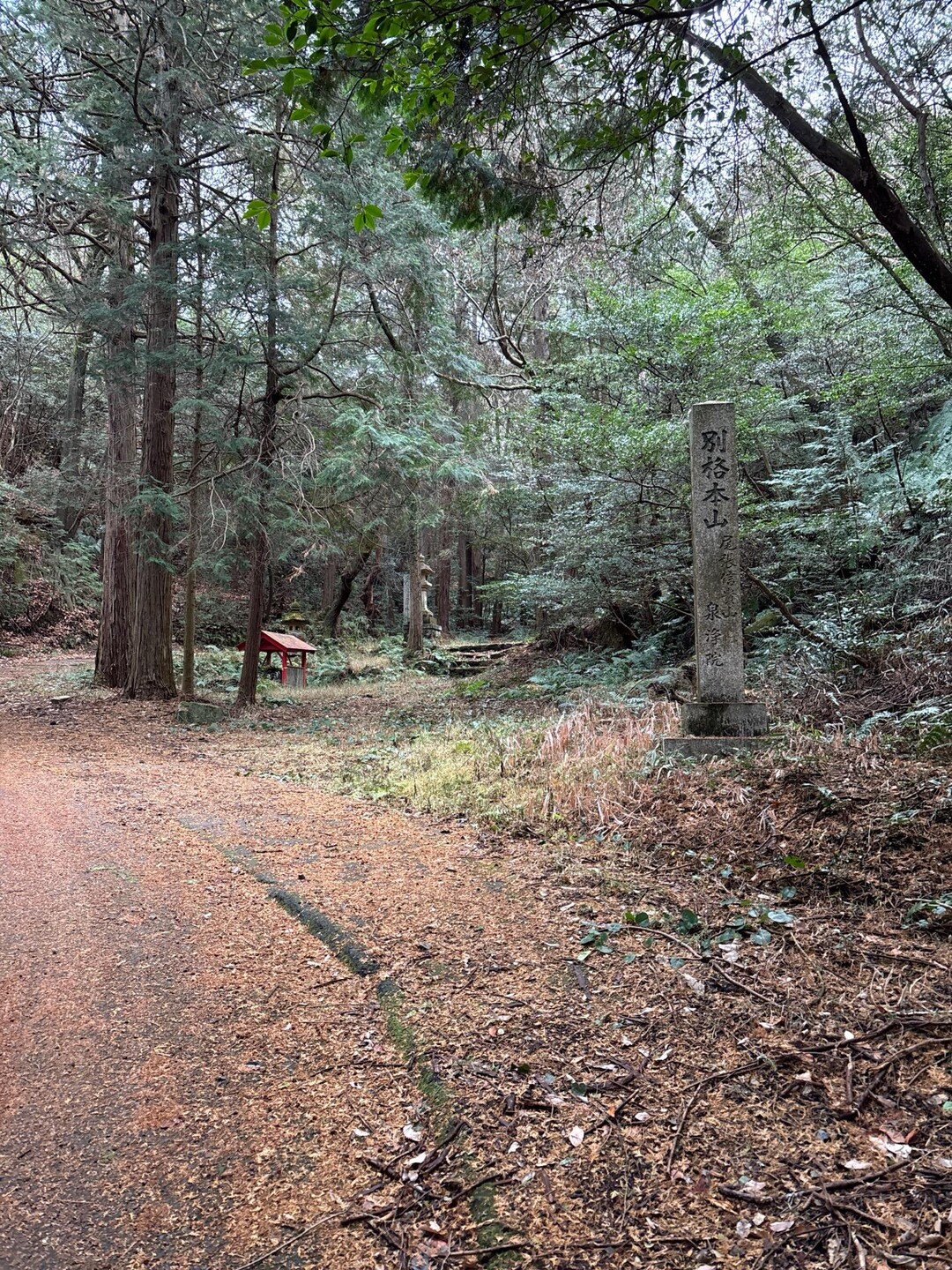 ttさんの投稿したフィールドメモ | YAMAP / ヤマップ