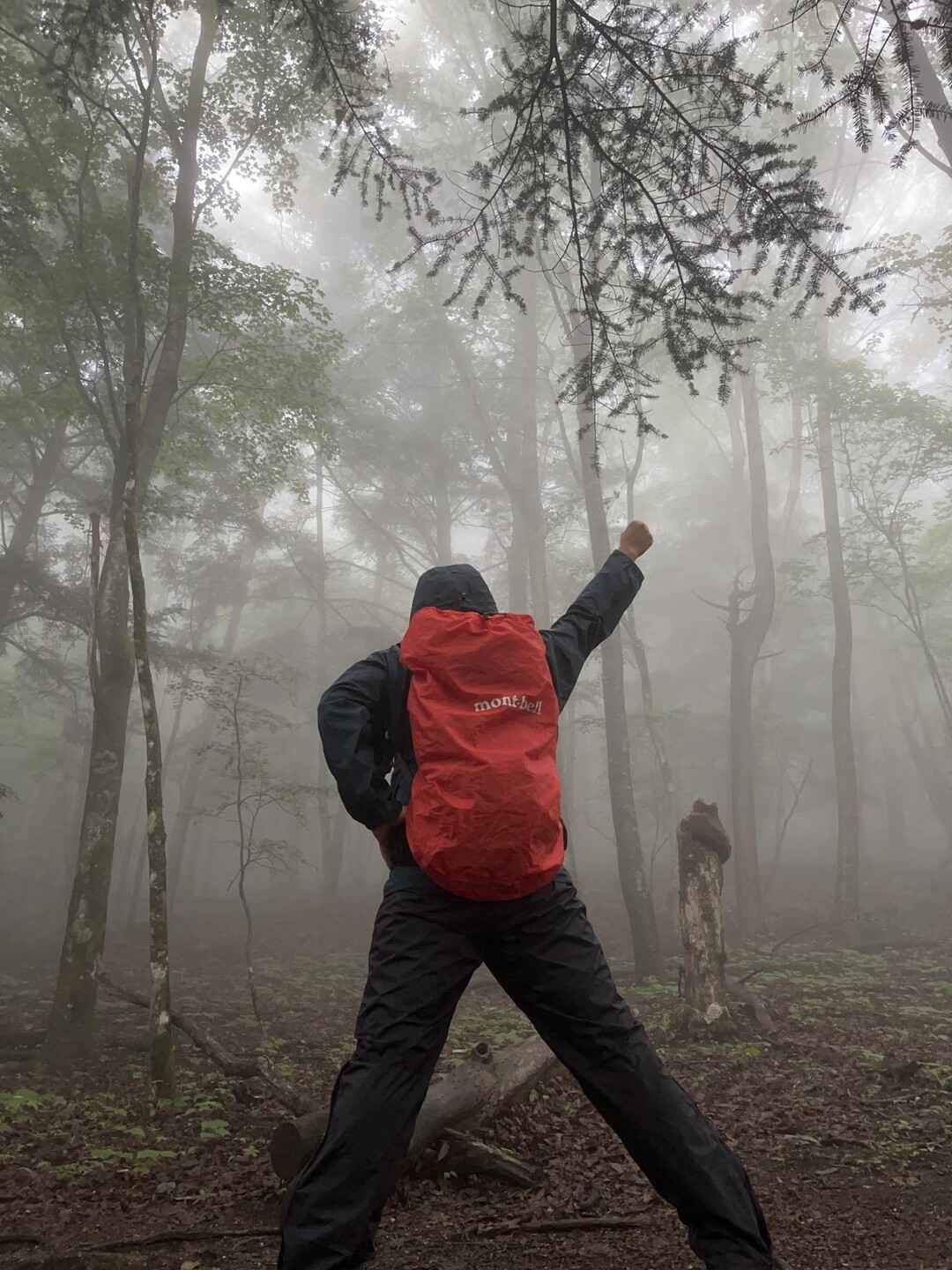 2024/06/02 あめあめ☔️ふれふれ / 鳳凰三山のKing Bearさんの甲斐駒ヶ岳・日向山の活動データ | YAMAP / ヤマップ