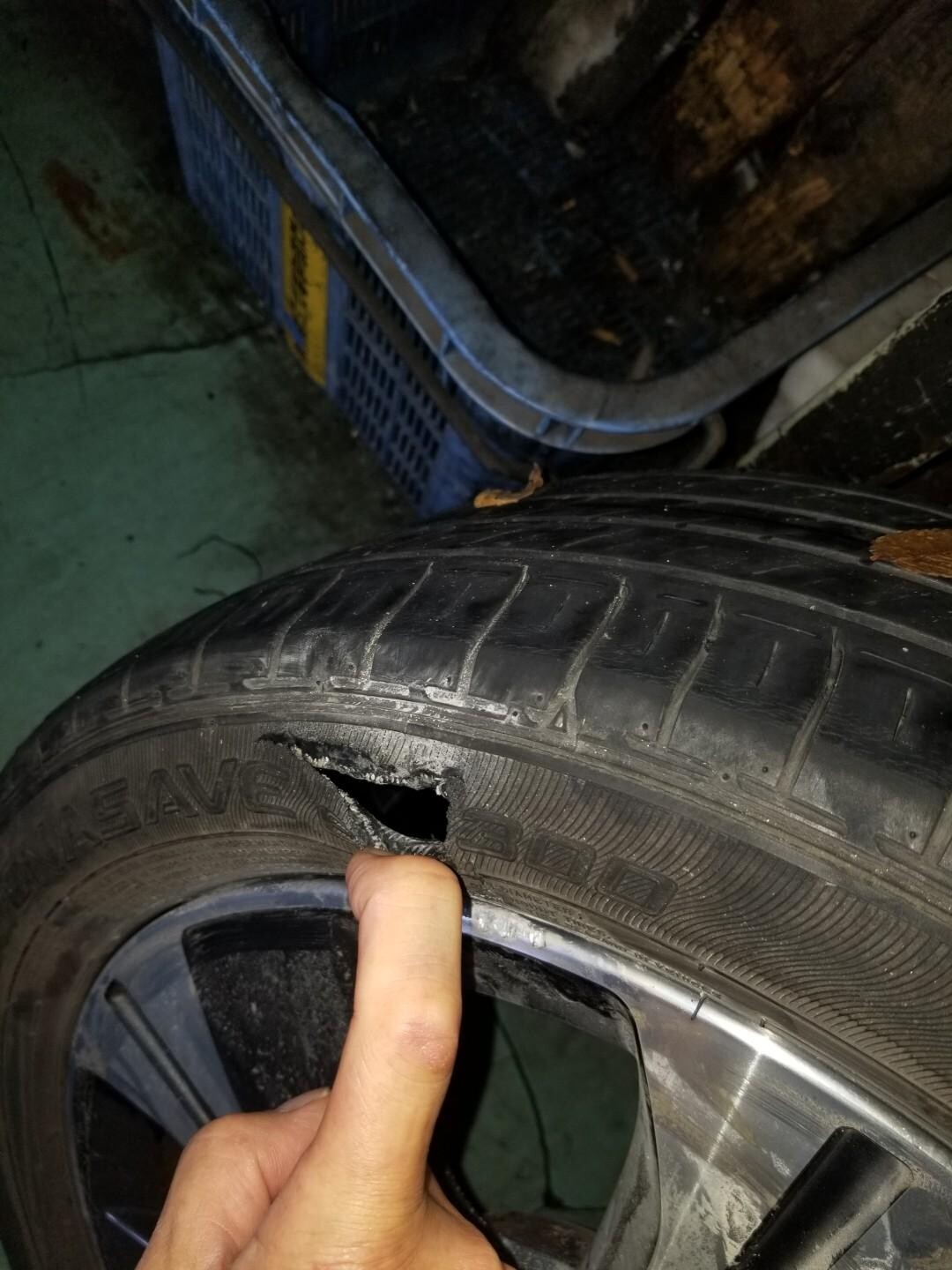 不覚😭 / shiburinさんのモーメント | YAMAP / ヤマップ