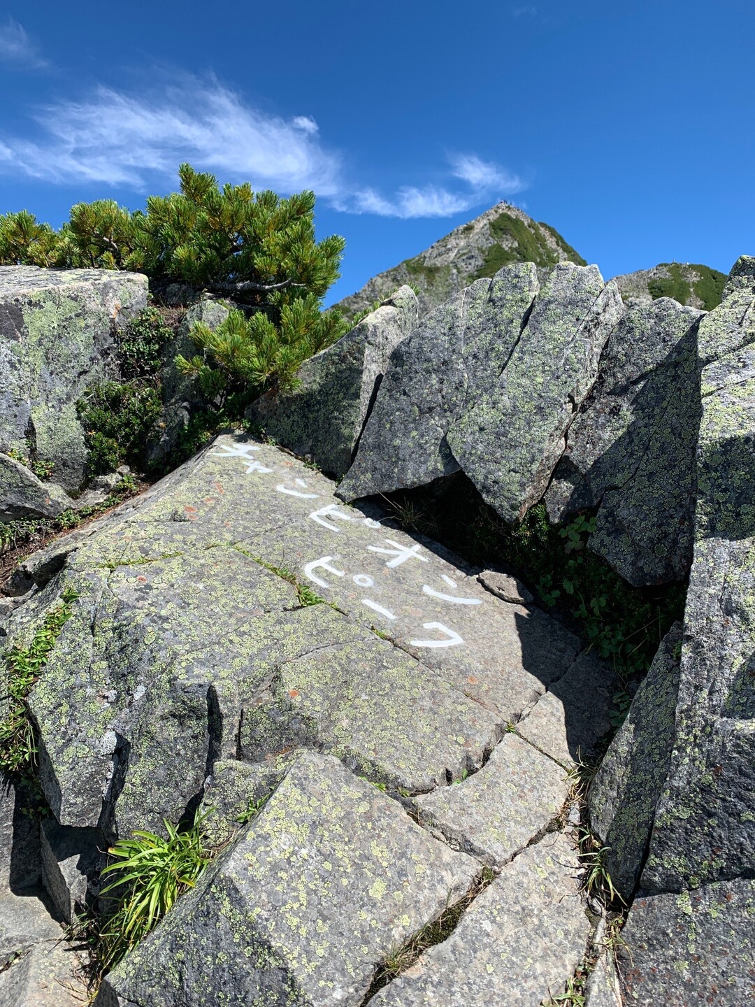 ハラさんの投稿したフィールドメモ | YAMAP / ヤマップ