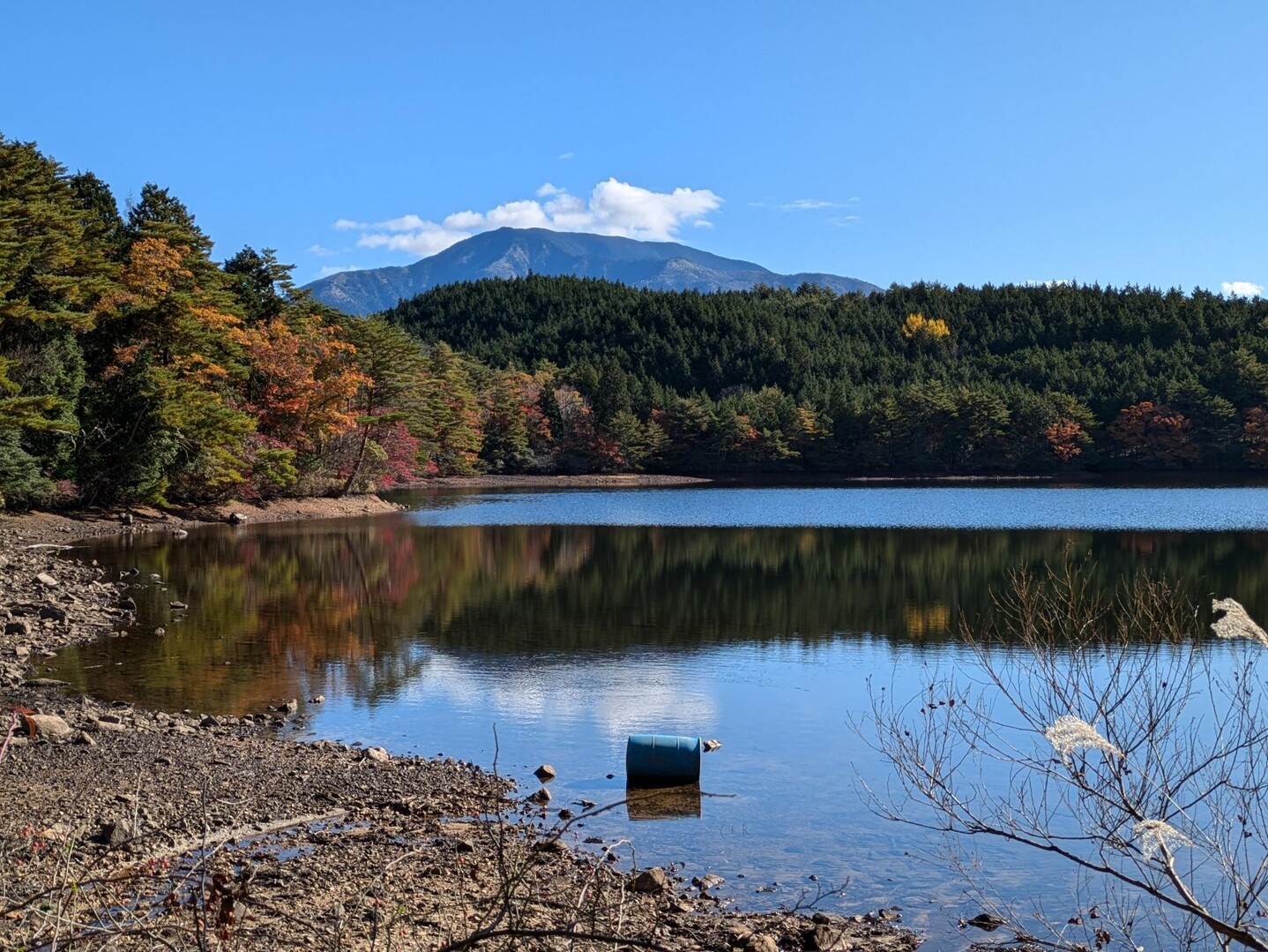 根の上高原登山口から保古山 / まぅんてにぁ（ちぇりすと）さんの保古山の活動日記 | YAMAP / ヤマップ