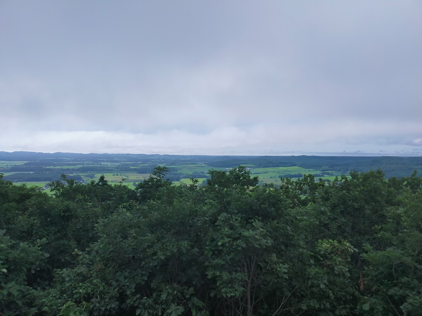 チョマナイ（魔の山） 忠類丸山 / digdigさんのウォーキングの活動データ | YAMAP / ヤマップ