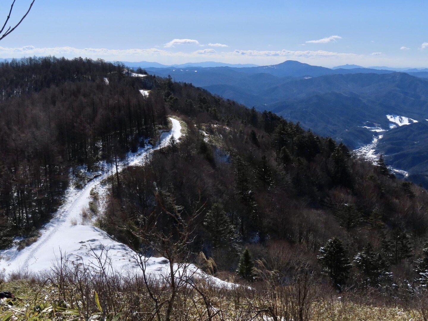 青空眩しい長者峰・高嶺山 / asimkさんの高嶺山・長者峰の活動データ | YAMAP / ヤマップ