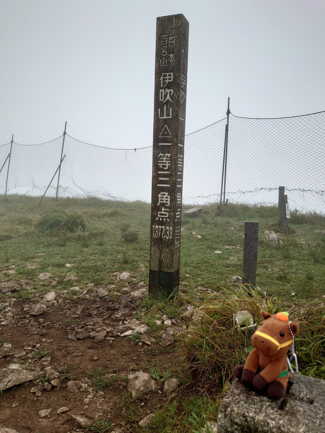 OrangeJuiceさんの投稿したフィールドメモ | YAMAP / ヤマップ