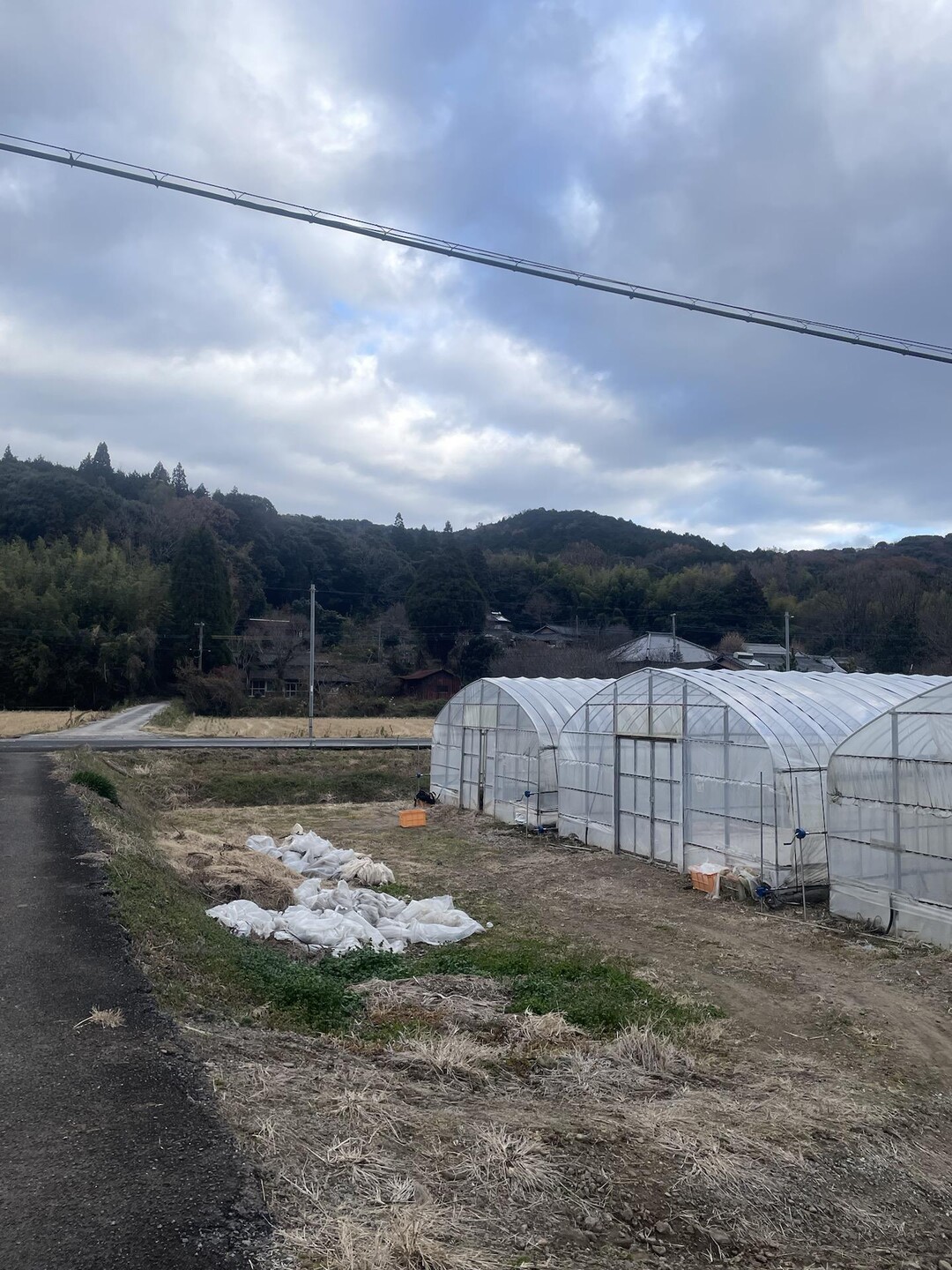 2024登り納め‼️ 来浦・向田3ピーク⛰️⛰️⛰️ / 白モースさんの六郷満山（国東半島）の活動データ | YAMAP / ヤマップ