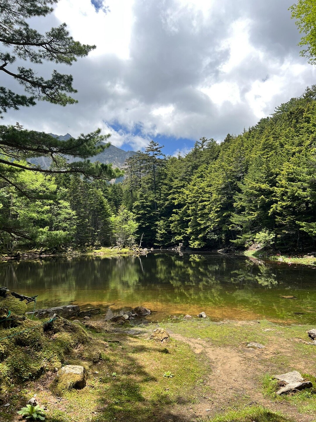 八ヶ岳（赤岳・硫黄岳・天狗岳）-2023-06-17 / あっつんさんの八ヶ岳（赤岳・硫黄岳・天狗岳）の活動データ | YAMAP / ヤマップ