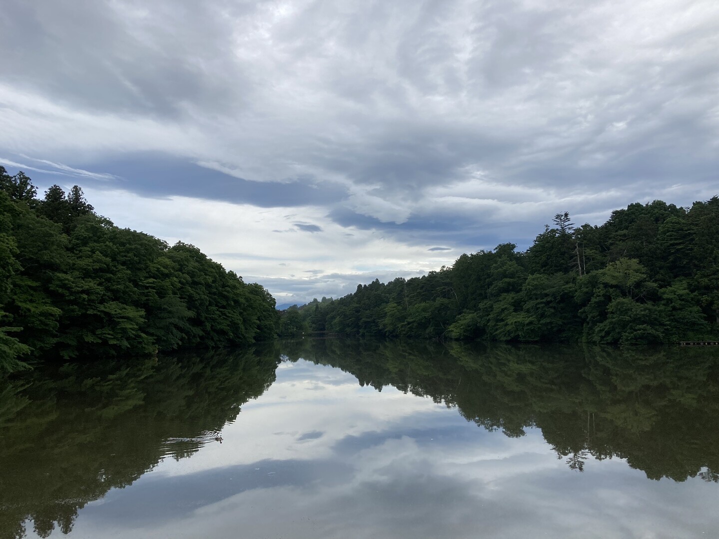 おはようございます^ ^ 今朝は湿度高... / OBsunさんのモーメント | YAMAP / ヤマップ