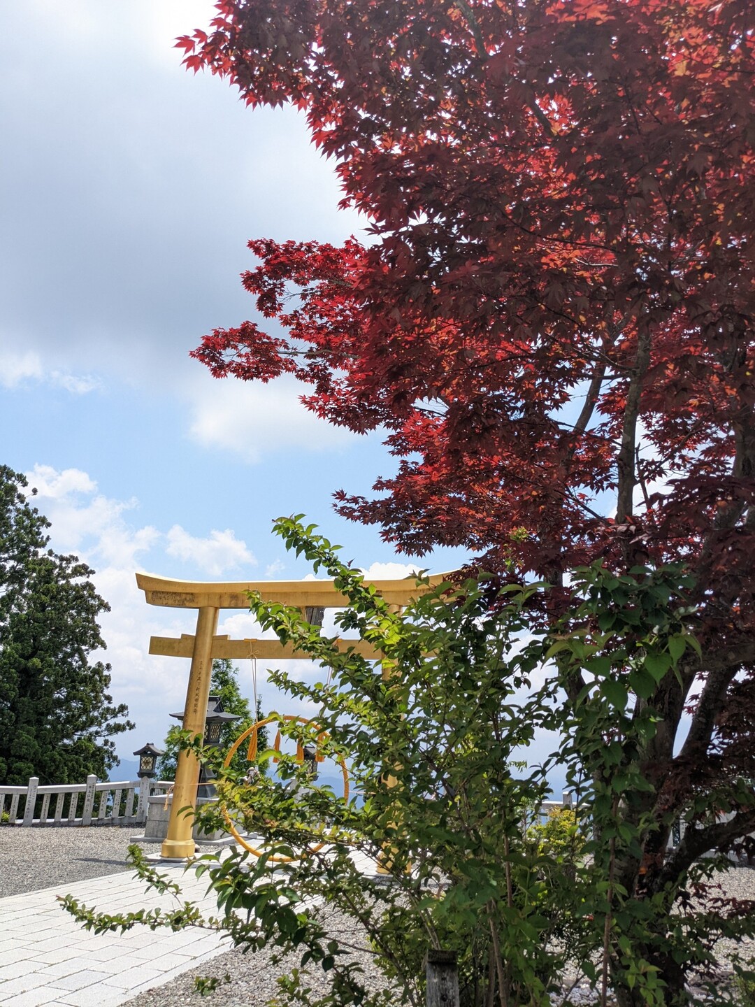 秋葉山👣 / Sho_P.rabbitさんの秋葉山の活動データ | YAMAP / ヤマップ