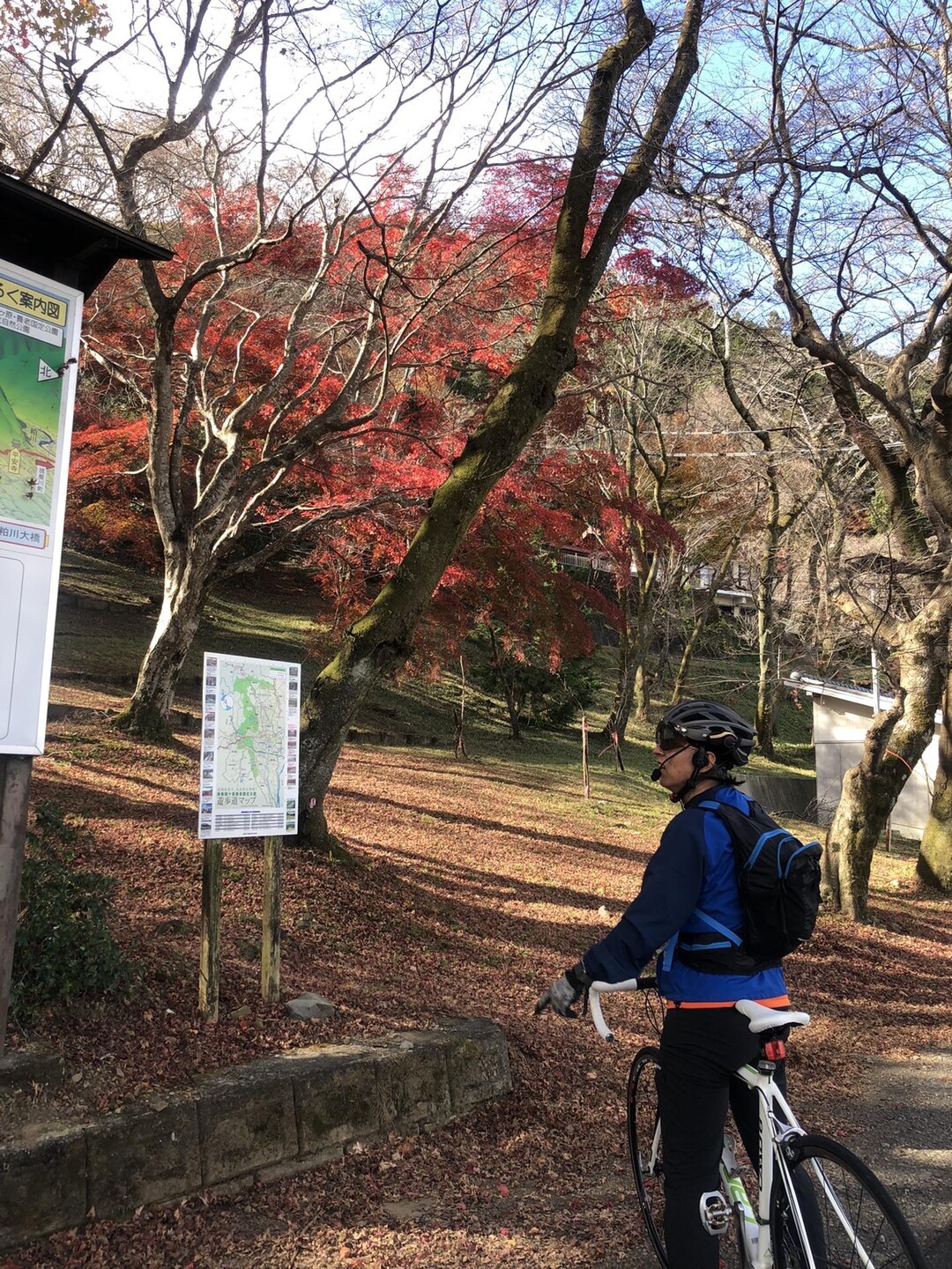 自転車活動 岐阜 ふれあい街道？ 茶畑... / tomobuuさんのモーメント | YAMAP / ヤマップ