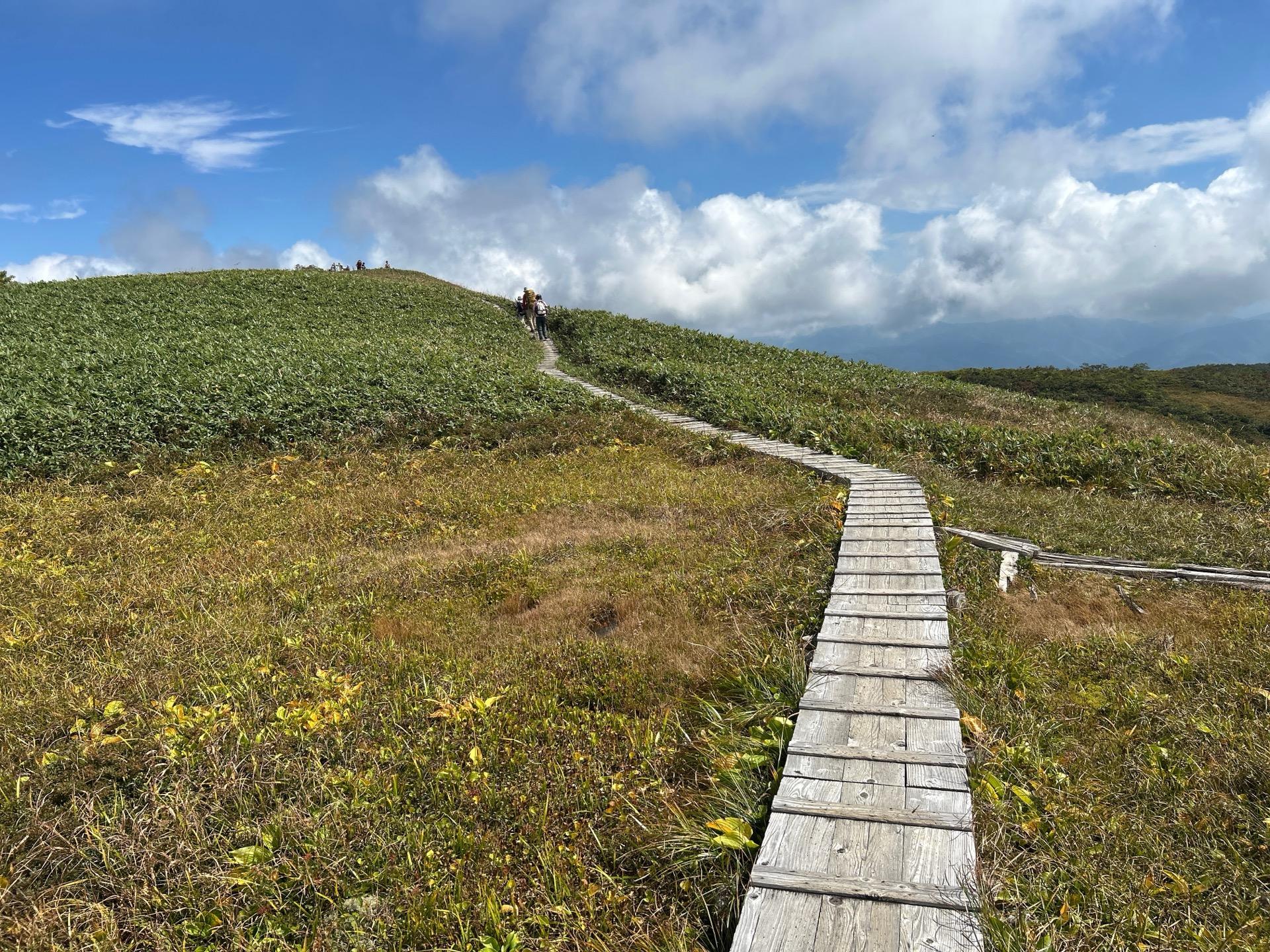 白木峰・北白木峰 / kemaさんの白木峰・小白木峰の活動データ | YAMAP / ヤマップ