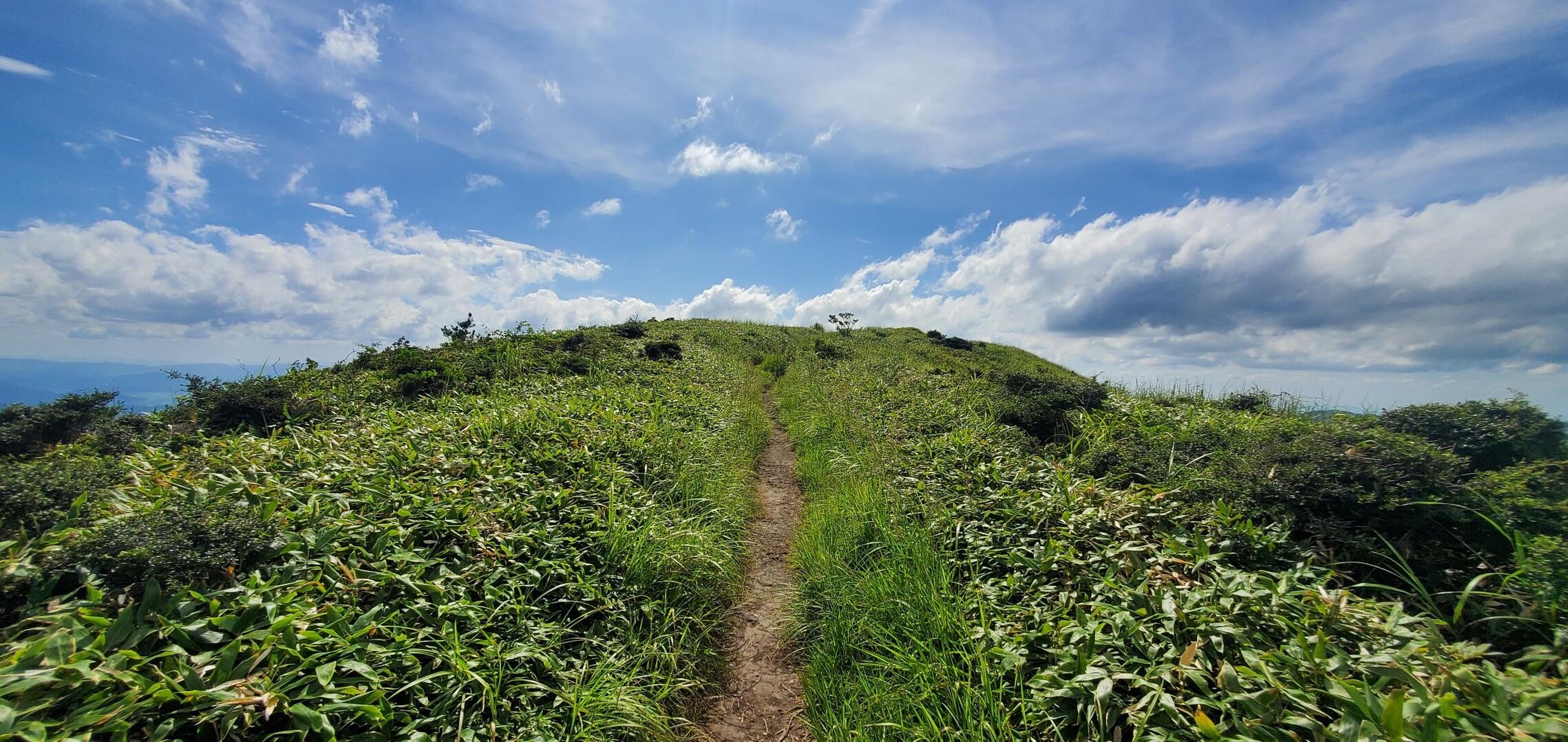 ツーリングPHトレジョグ 天山・彦岳 / hirobonさんの天山の活動データ | YAMAP / ヤマップ