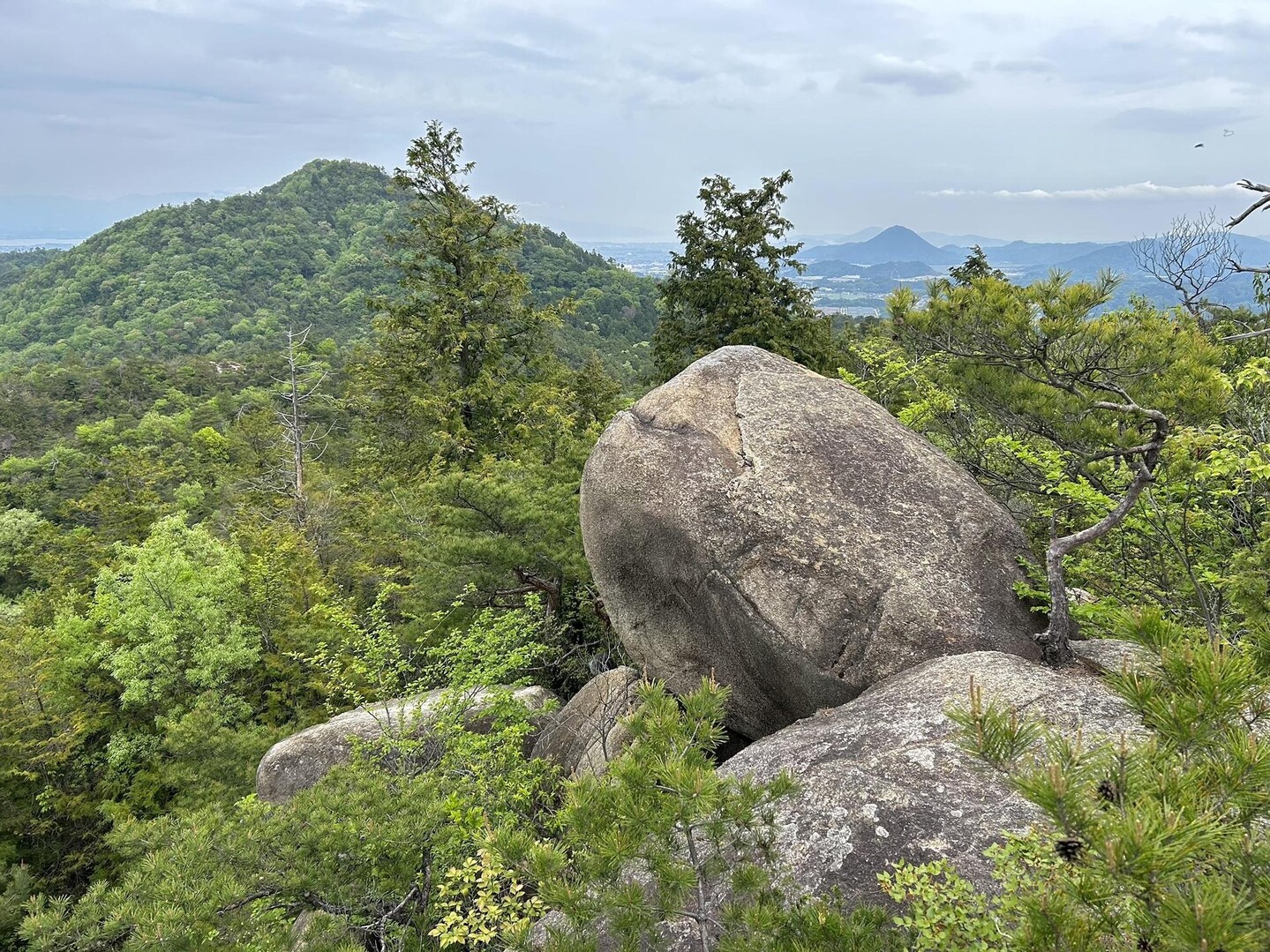 金勝アルプス / akemiさんの金勝アルプス（鶏冠山・竜王山）の活動データ | YAMAP / ヤマップ