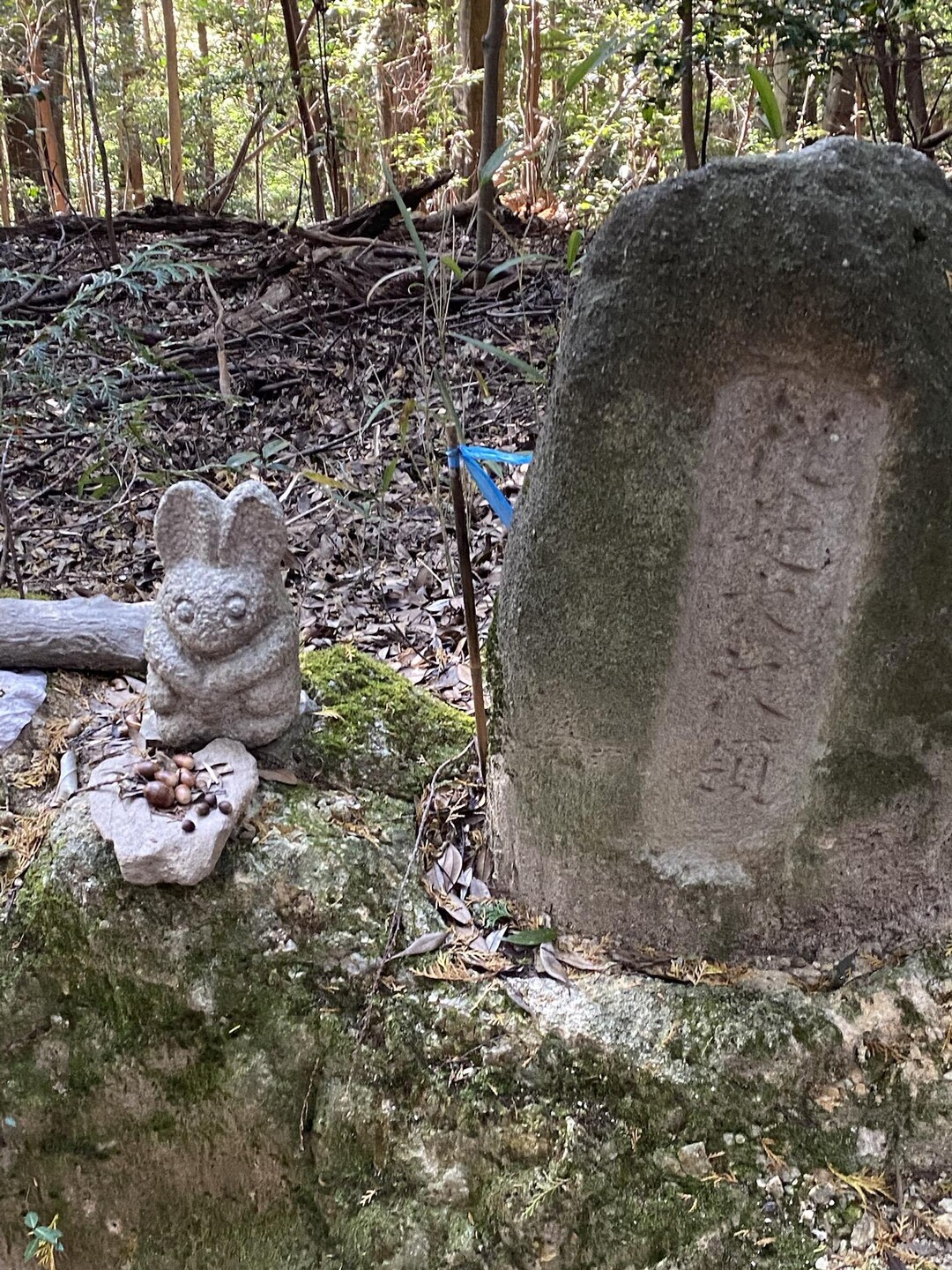 村積山 / Al exさんの村積山の活動データ | YAMAP / ヤマップ