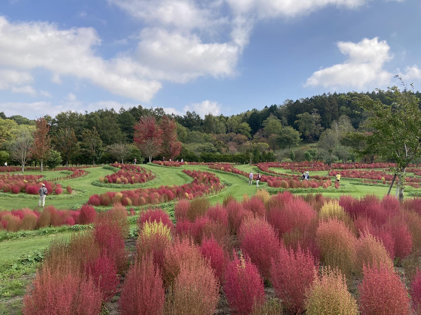素晴らしき初夏をも思わせる様な秋晴れの日... / ogamiさんのモーメント | YAMAP / ヤマップ