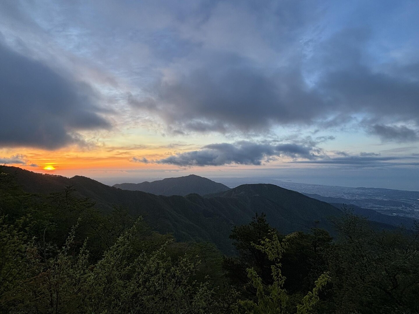塔ノ岳 大倉尾根ピストン / zyさんの塔ノ岳・丹沢山・蛭ヶ岳の活動データ | YAMAP / ヤマップ
