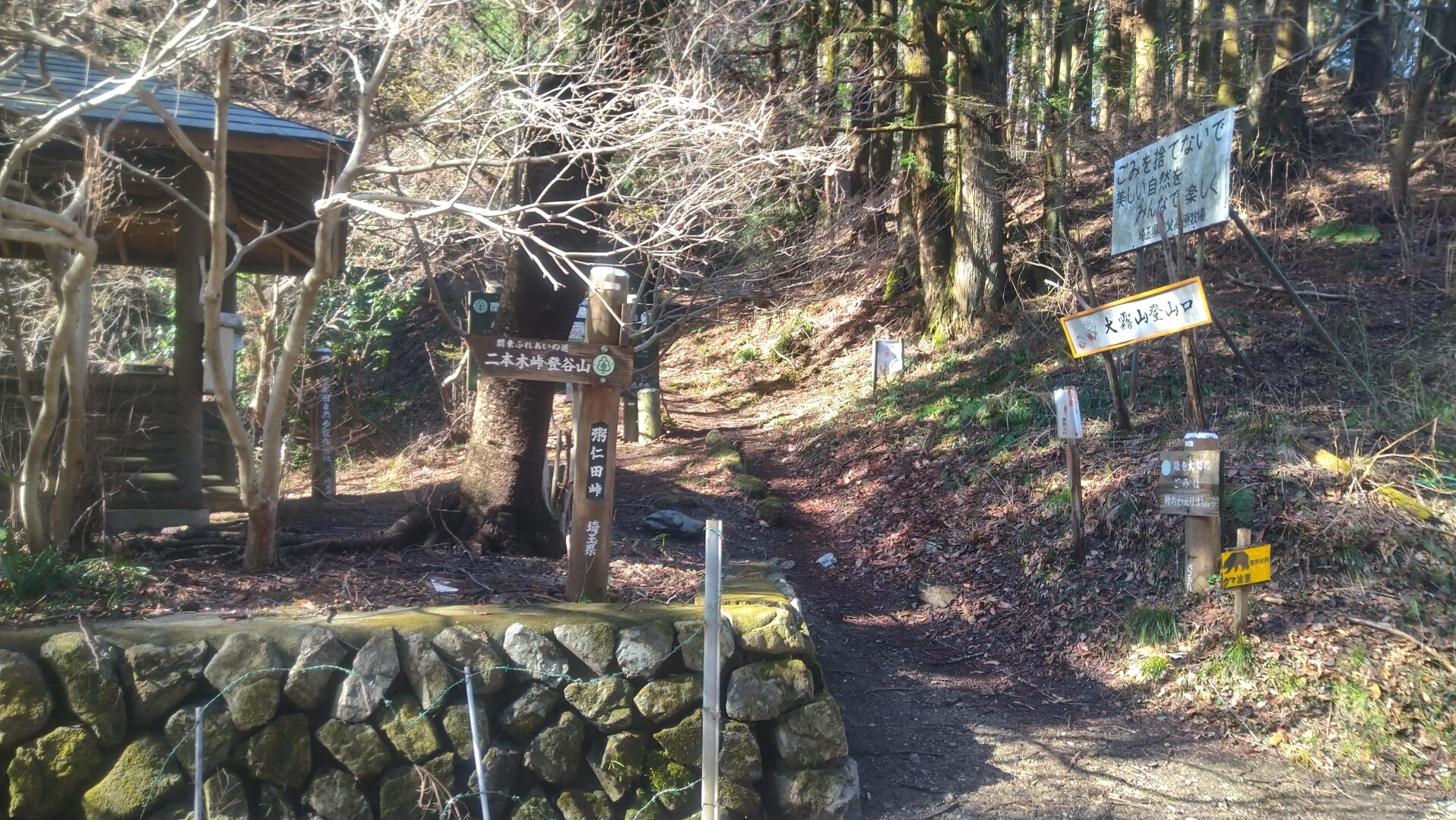愛宕山・皇鈴山・登谷山 / sugaさんの堂平山・笠山（乳房山）・大霧山の活動データ | YAMAP / ヤマップ
