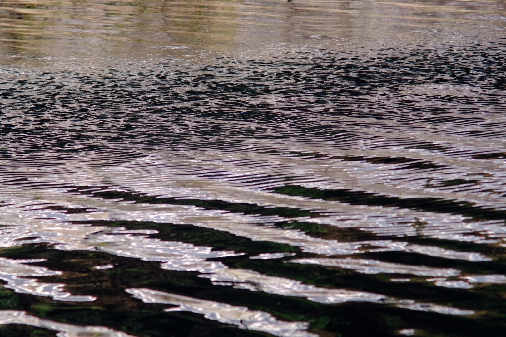 2021.12.27 紫川散策 / K.Oさんのモーメント | YAMAP / ヤマップ