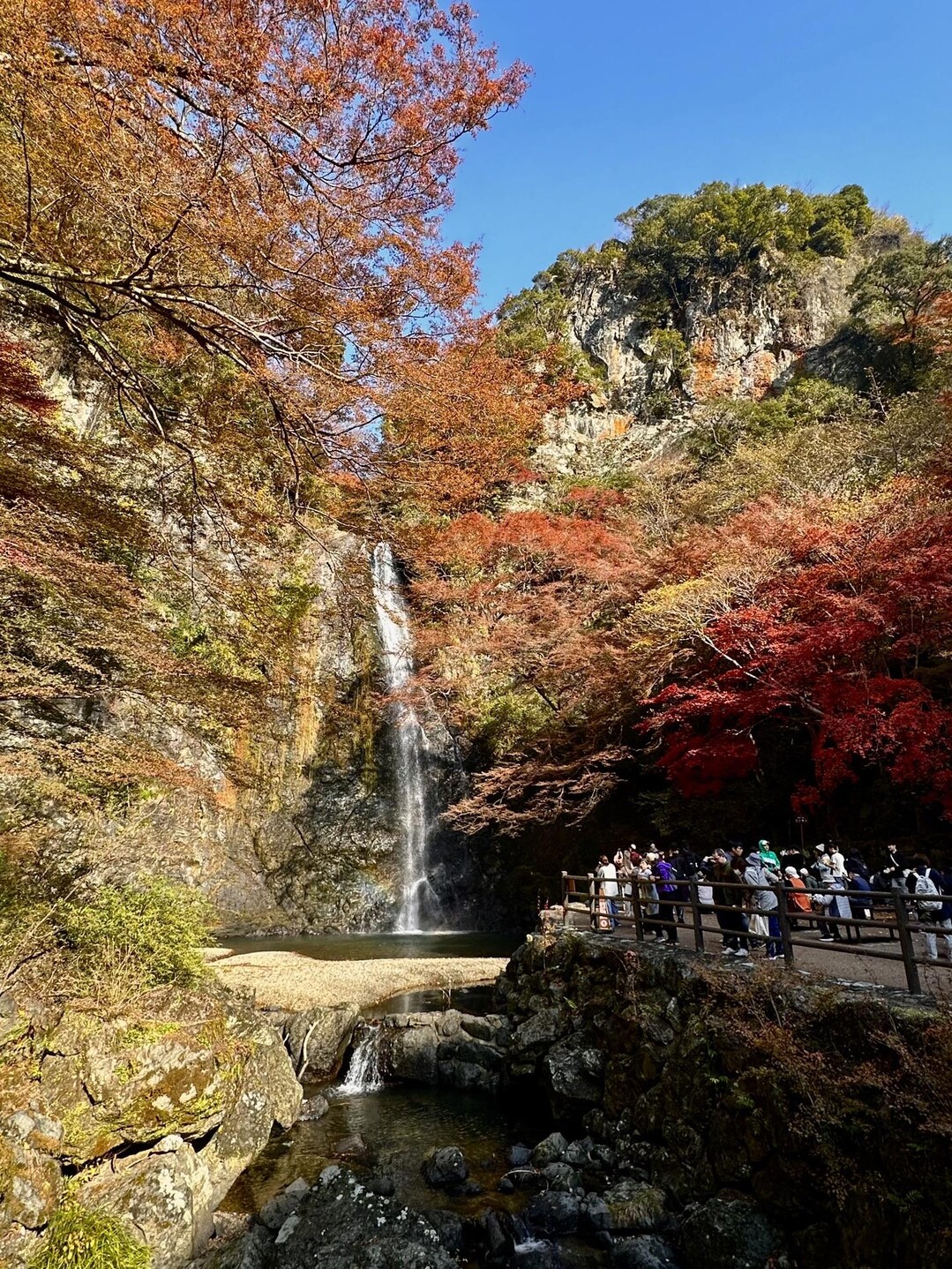箕面🍁紅葉 / komariさんの六個山・鉢伏山・明ヶ田尾山・五月山の活動データ | YAMAP / ヤマップ