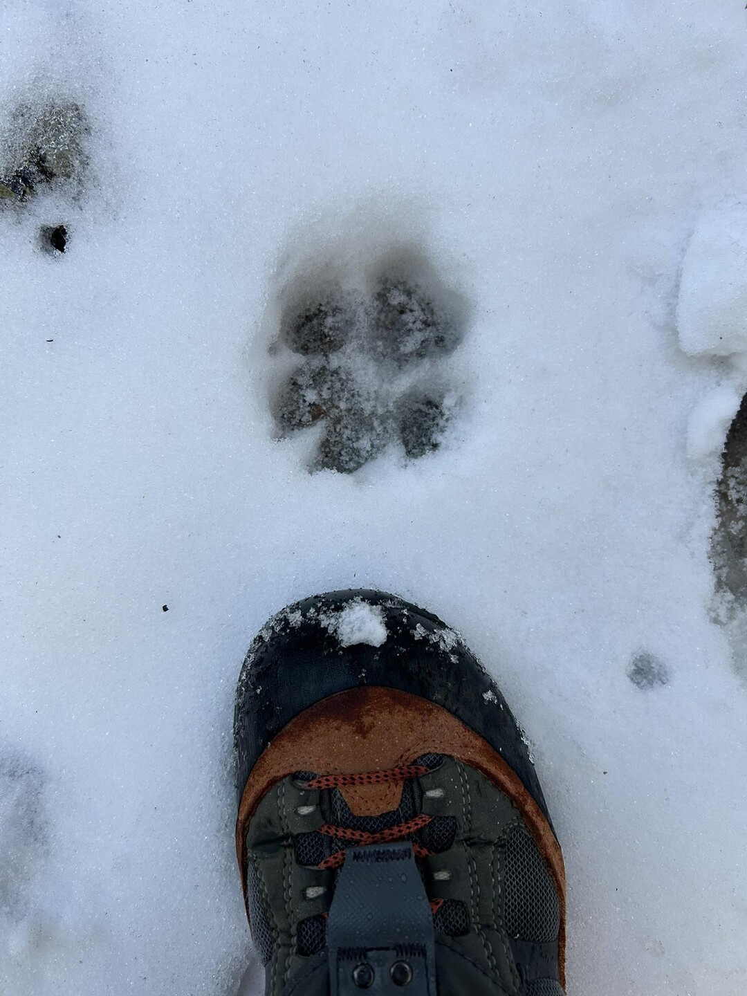 御船の滝 / sakoさんの白屋岳の活動データ | YAMAP / ヤマップ