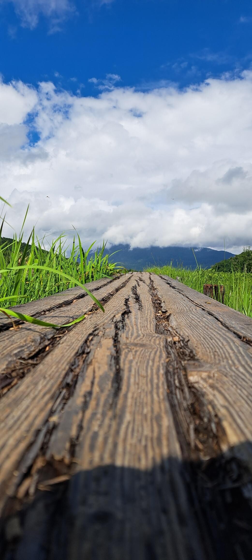 至仏山・小至仏山 / HARUさんの尾瀬・至仏山・悪沢岳・笠ヶ岳の活動データ | YAMAP / ヤマップ