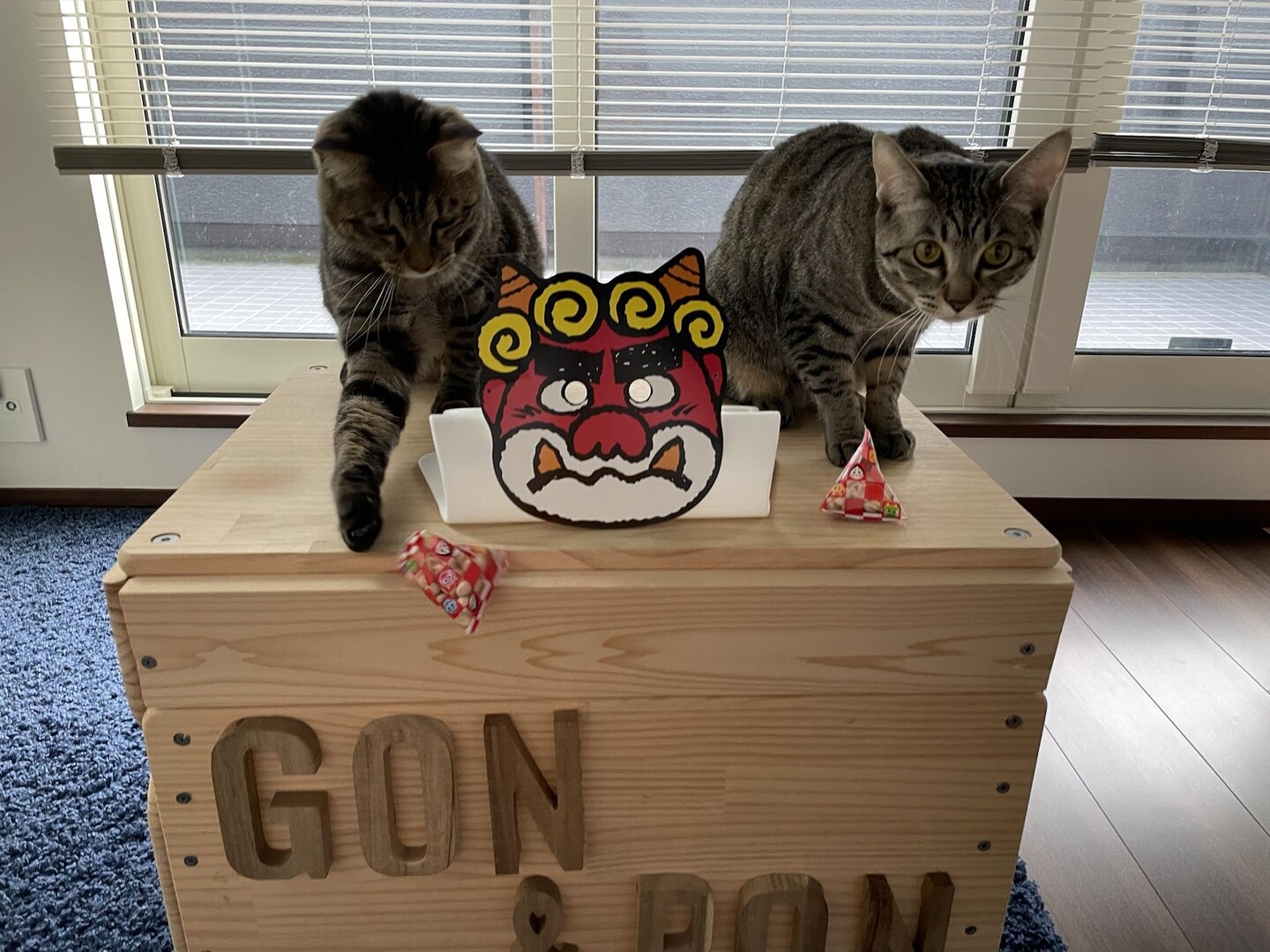 2025.02.02 124年ぶりに2/... / みよさんのモーメント | YAMAP / ヤマップ