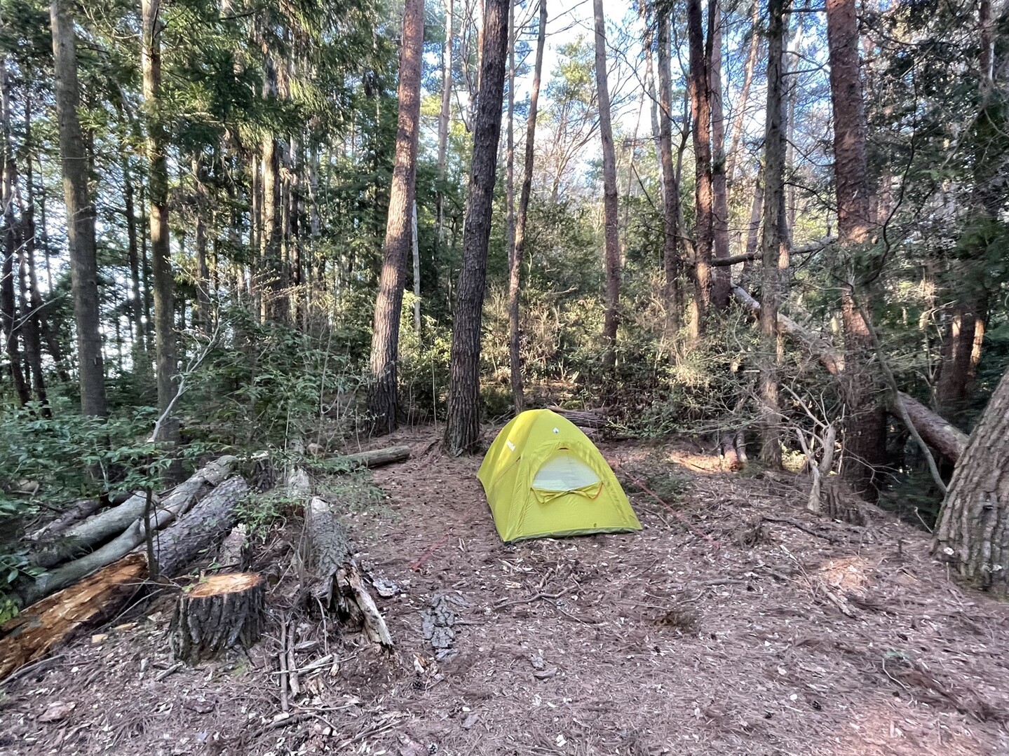 テント貼れそうないいとこあったので今日は... / RIKU🐕‍🦺 &Jun さんのモーメント | YAMAP / ヤマップ