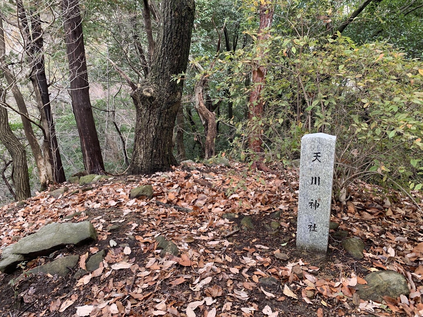 nonpui(ノンプイ)さんの投稿したフィールドメモ | YAMAP / ヤマップ