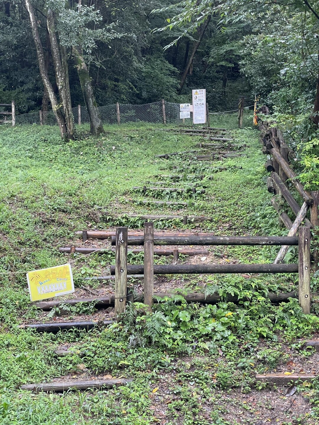 zumiさんの投稿したフィールドメモ | YAMAP / ヤマップ