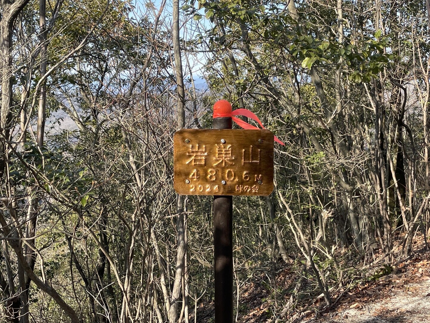 元岩巣山・岩巣山 / SHOW_GUNさんの岩巣山・三国山・折平山の活動データ | YAMAP / ヤマップ