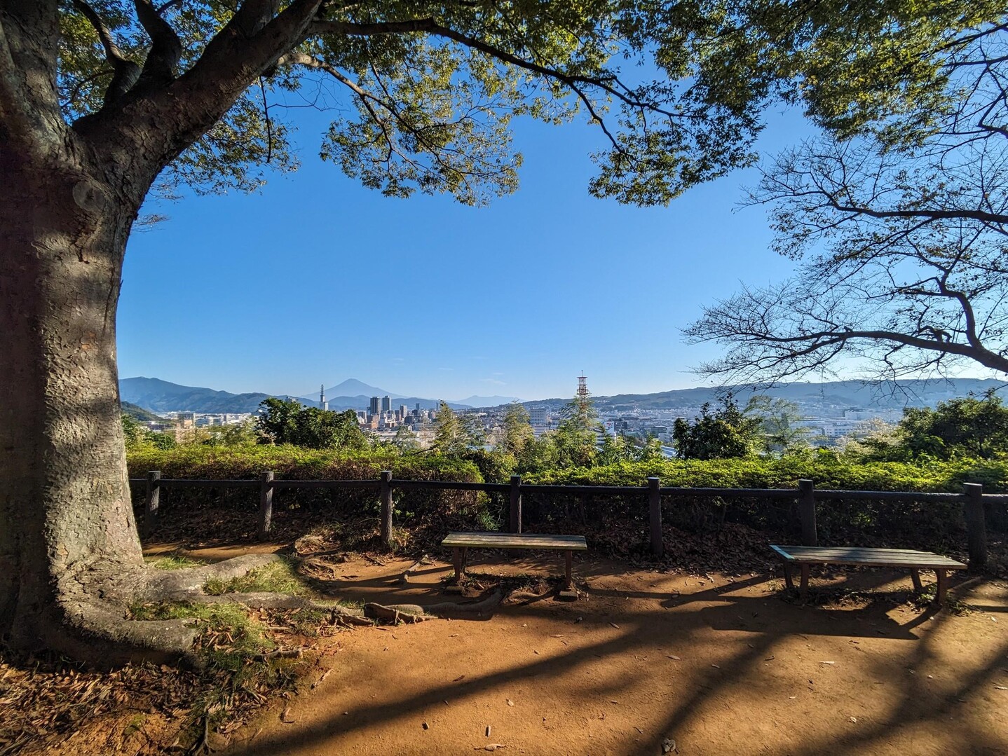 八幡山 / AWA-MANさんの谷津山の活動データ | YAMAP / ヤマップ