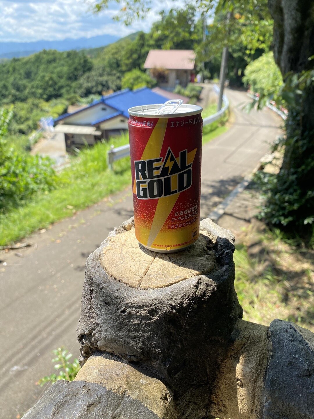 日和田山21・ふじみ屋 / ジョンソンカフェMC. サトシさんの日和田山・物見山の活動データ | YAMAP / ヤマップ