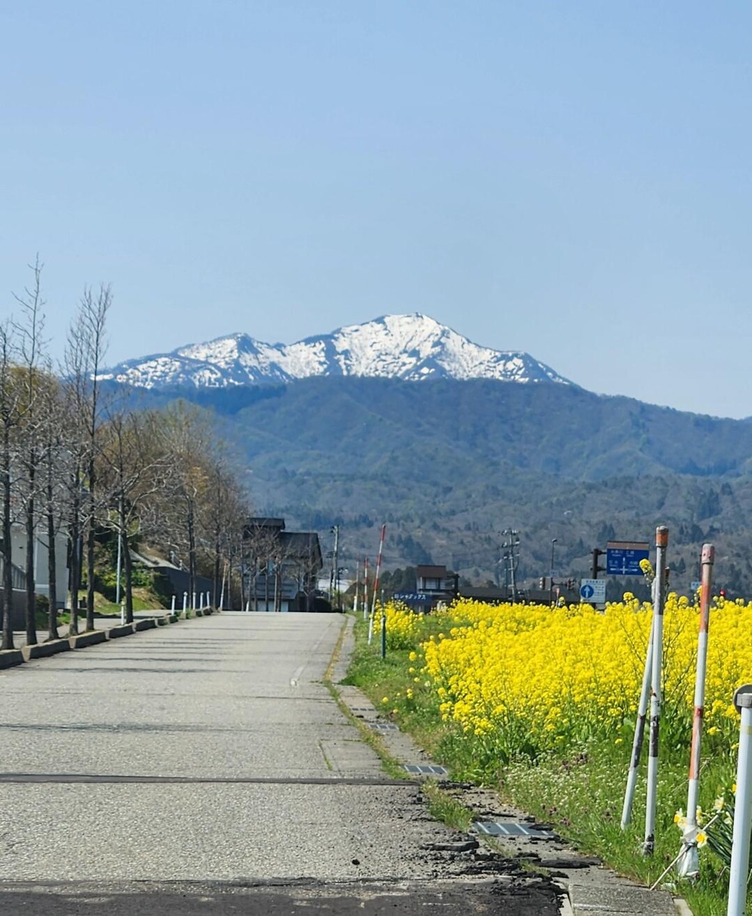 残雪期の霊峰 『米山』 / tamuさんの米山の活動データ | YAMAP / ヤマップ