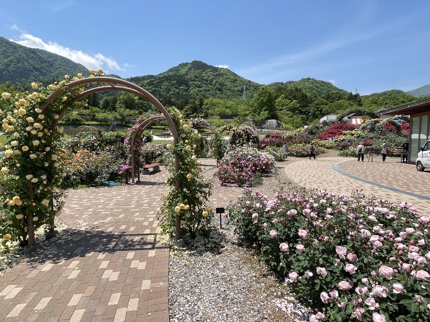 富士川クラフトパークのバラ🌹 / Tたいむ ☕️さんのモーメント | YAMAP / ヤマップ