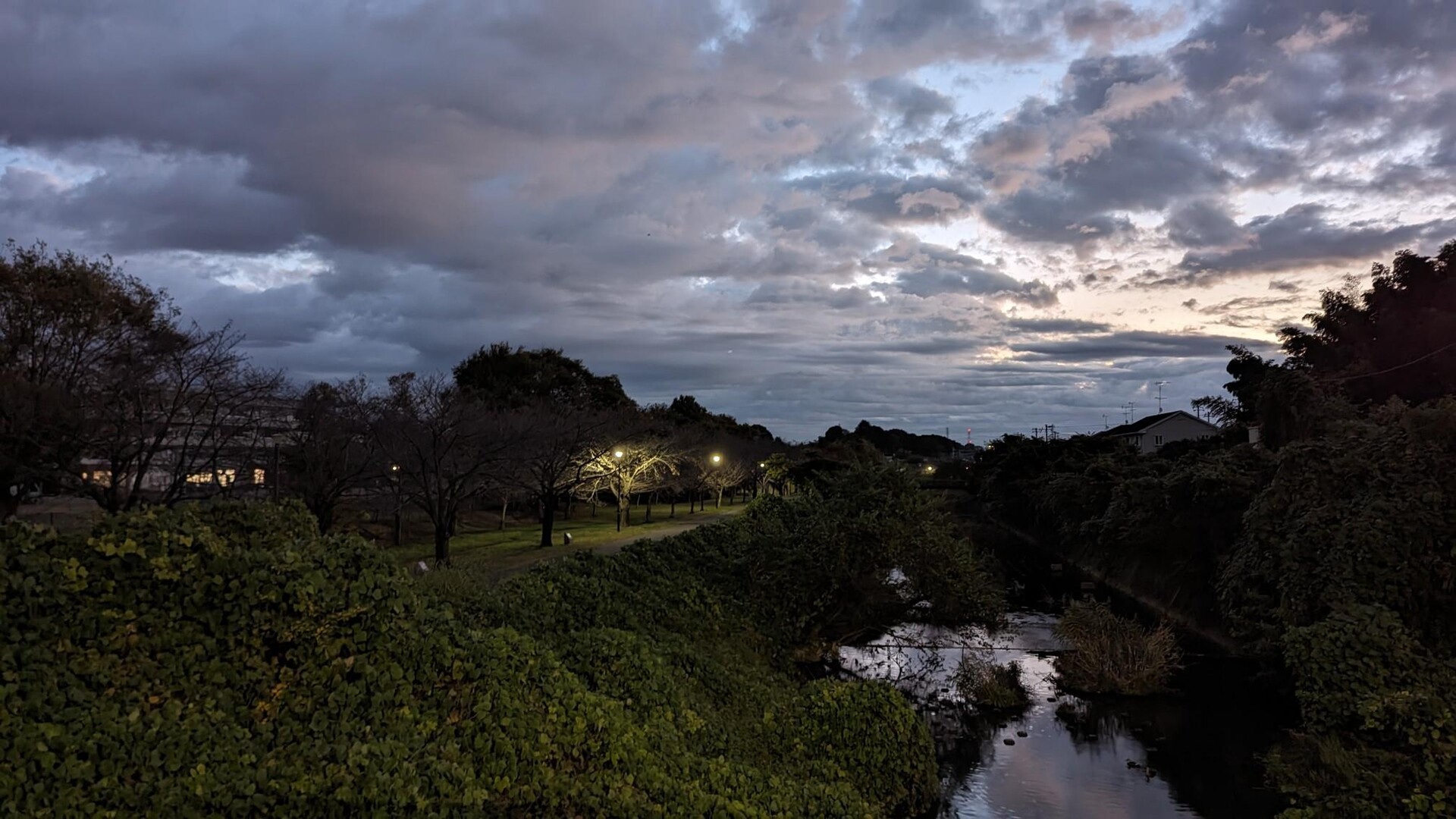 手賀沼ランニング-2023-11-15 / TK54さんのランニングの活動データ | YAMAP / ヤマップ