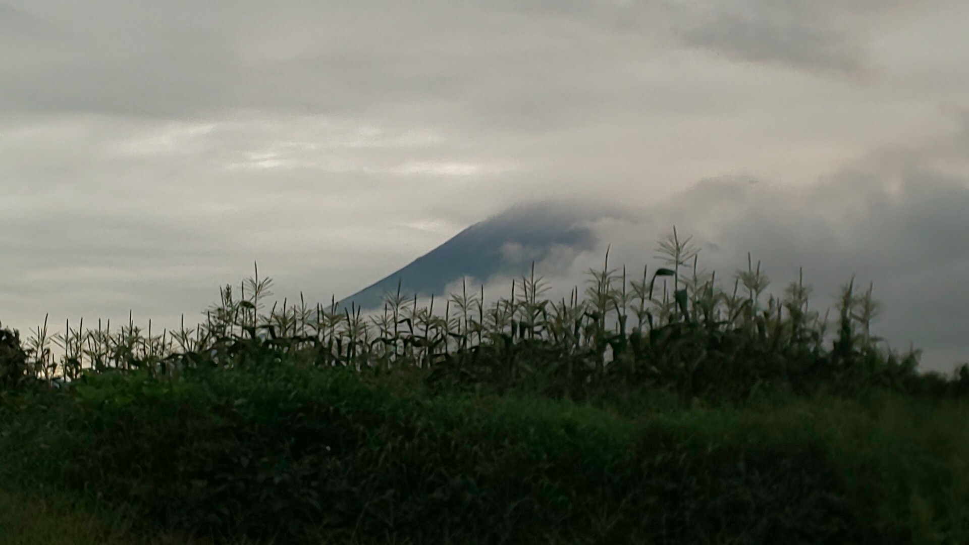 2022.07.04(月) 20:05 / なおさんのモーメント | YAMAP / ヤマップ