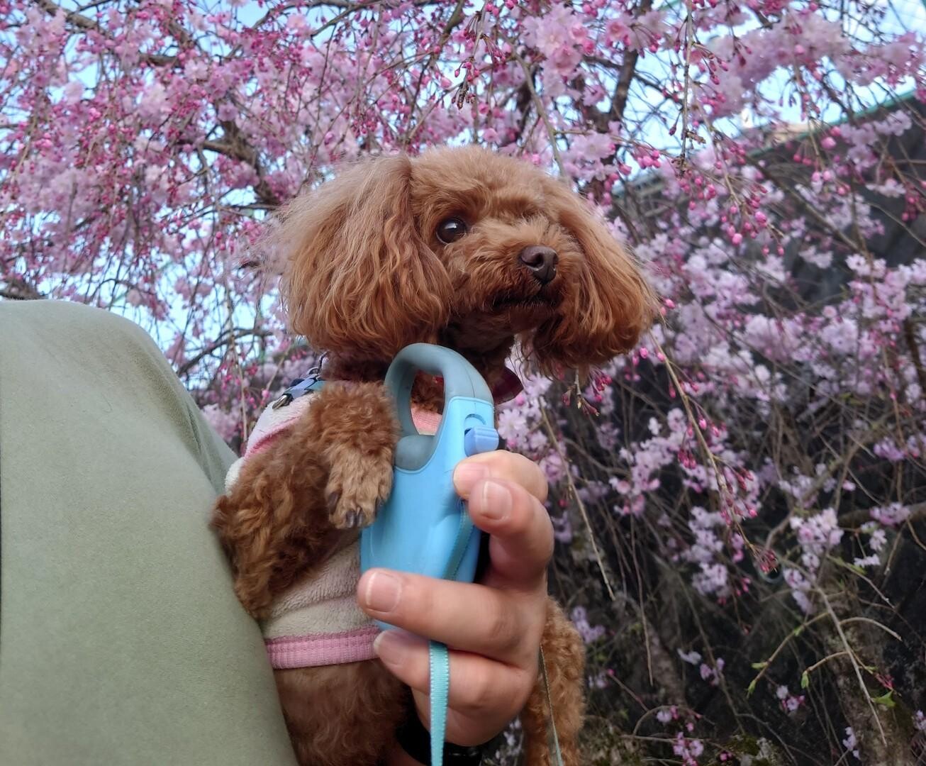 nobu_tのページ | YAMAP / ヤマップ