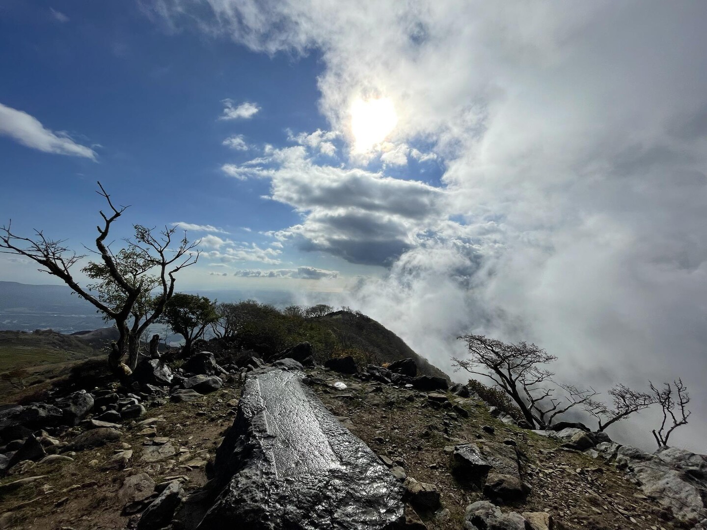 藤原岳・天狗岩 / VIN2さんの藤原岳・御池岳の活動データ | YAMAP / ヤマップ