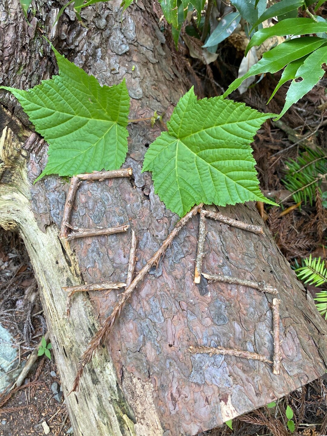 Red Comet 55さんの投稿したフィールドメモ | YAMAP / ヤマップ