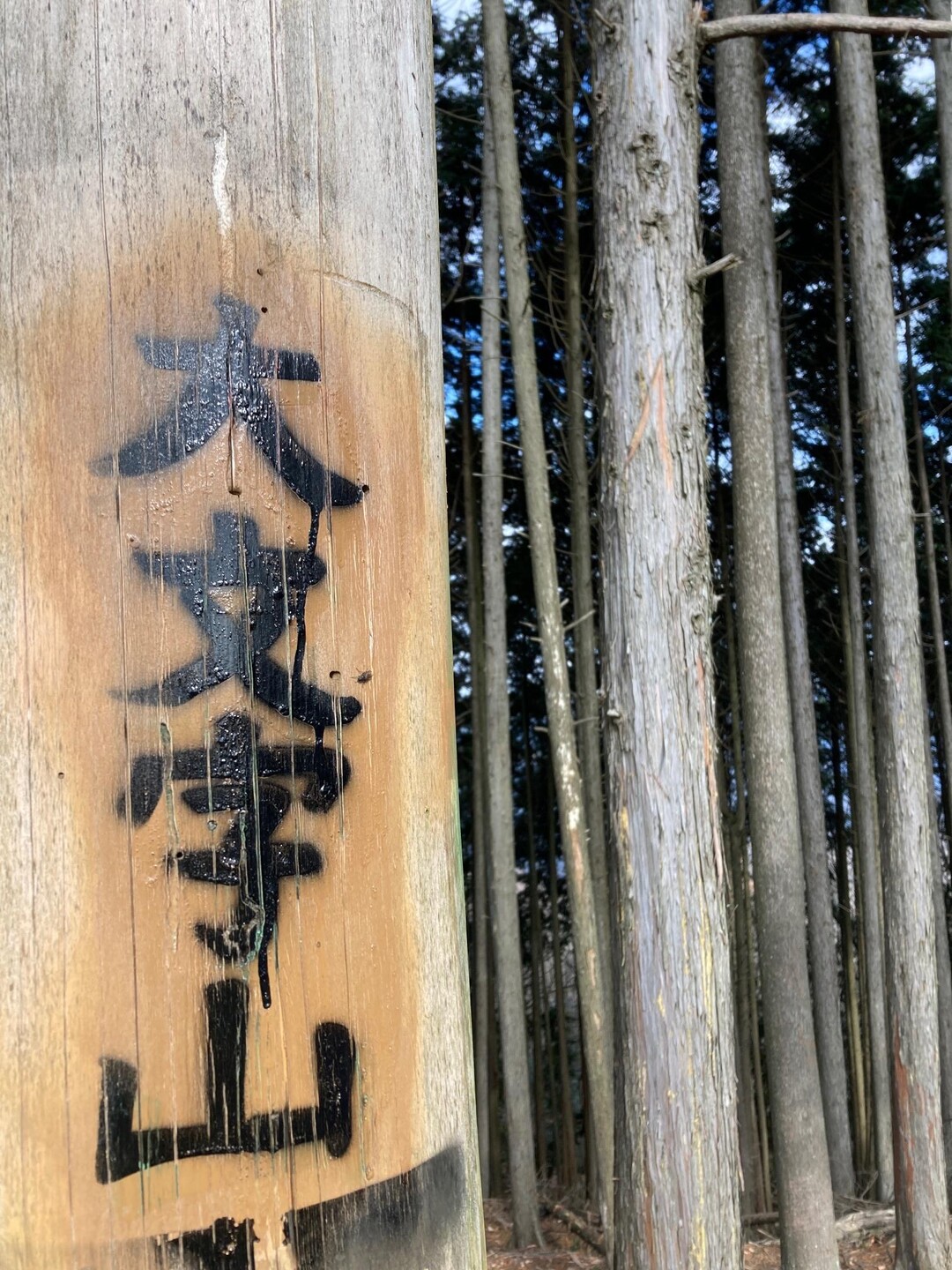 K.KAIさんの投稿したフィールドメモ | YAMAP / ヤマップ