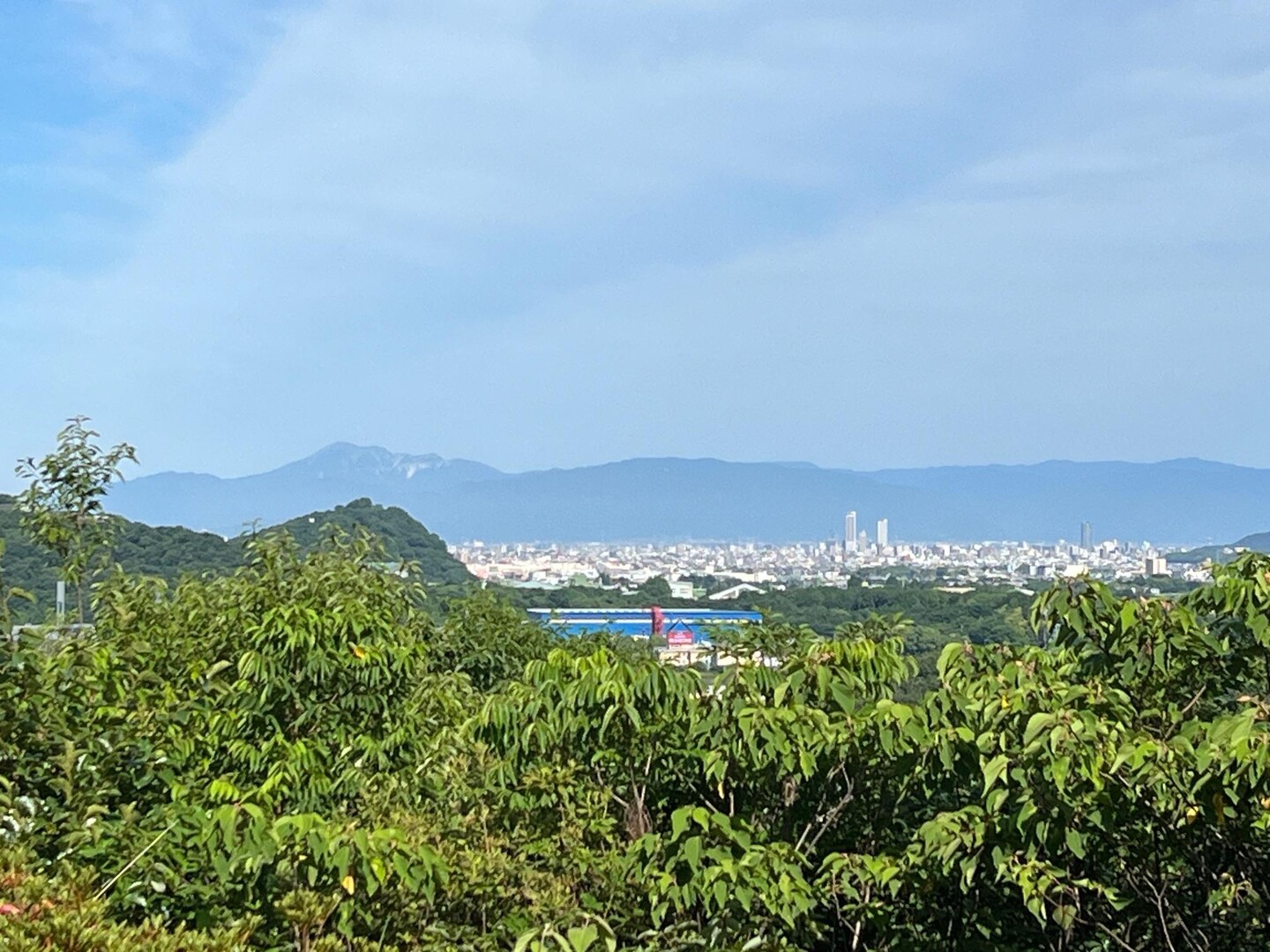 ウォーキング 三井山から前渡山 / フジミンさんのウォーキングの活動データ | YAMAP / ヤマップ