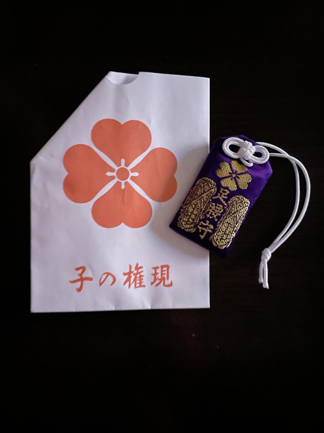 昨年は山行での故障ではなかったのですが... / じんさんのモーメント | YAMAP / ヤマップ