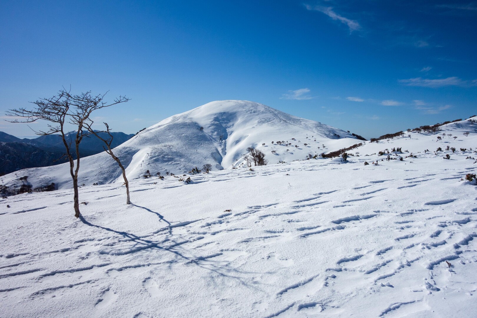 竜ヶ岳 / hkhg_yさんの竜ヶ岳の活動データ | YAMAP / ヤマップ
