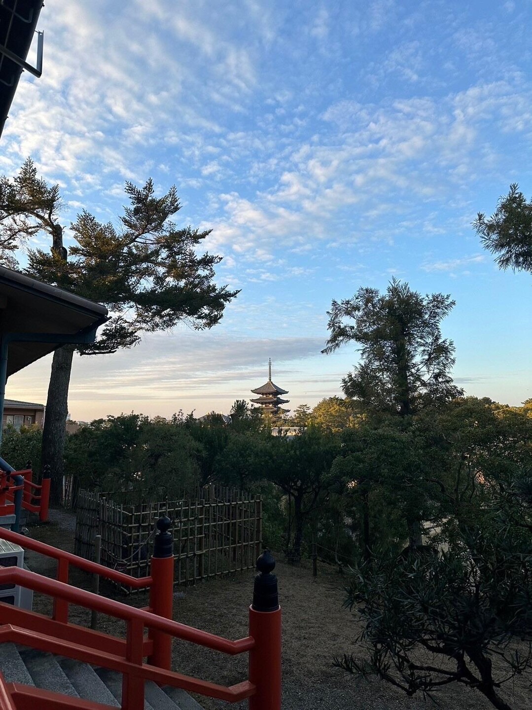 年末年始は奈良&京都にいます。 今年もY... / chi-meroさんのモーメント | YAMAP / ヤマップ