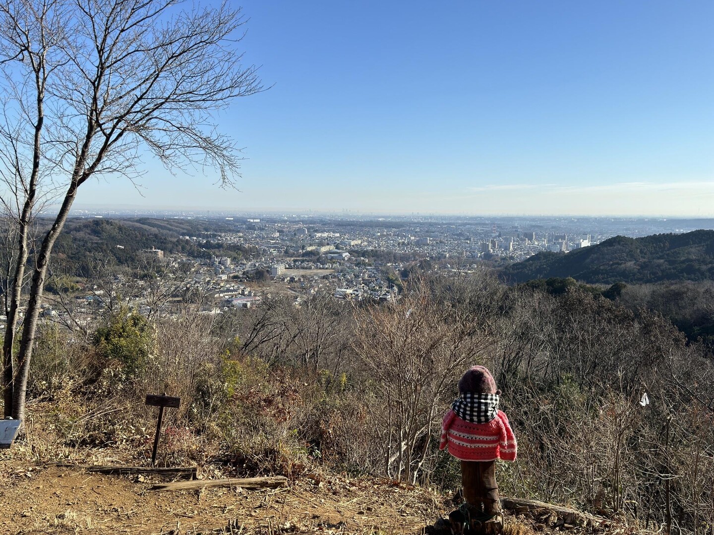 HOKA SPEED GOAT5 試走 / DAIさんの天覧山・多峯主山・天覚山の活動データ | YAMAP / ヤマップ