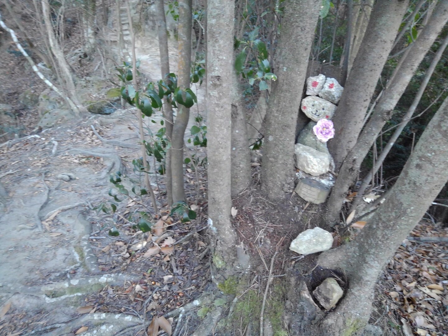 R6-2 猿投山 / nob3さんの猿投山・物見山の活動データ | YAMAP / ヤマップ