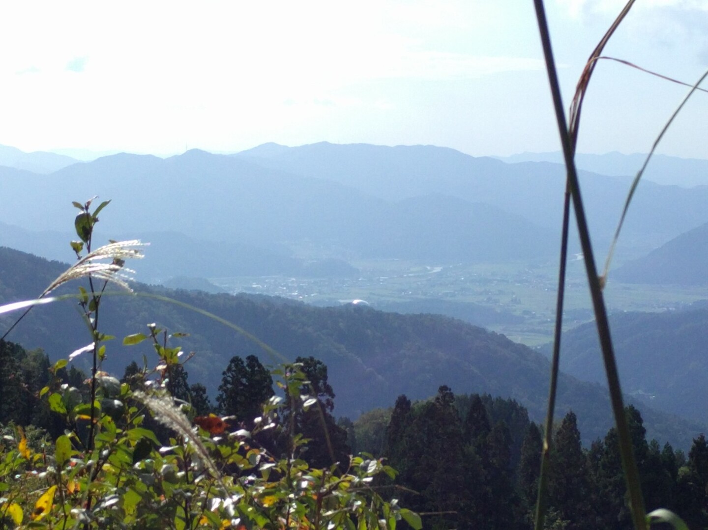 Toritateyama / Emmaさんの取立山の活動データ | YAMAP / ヤマップ