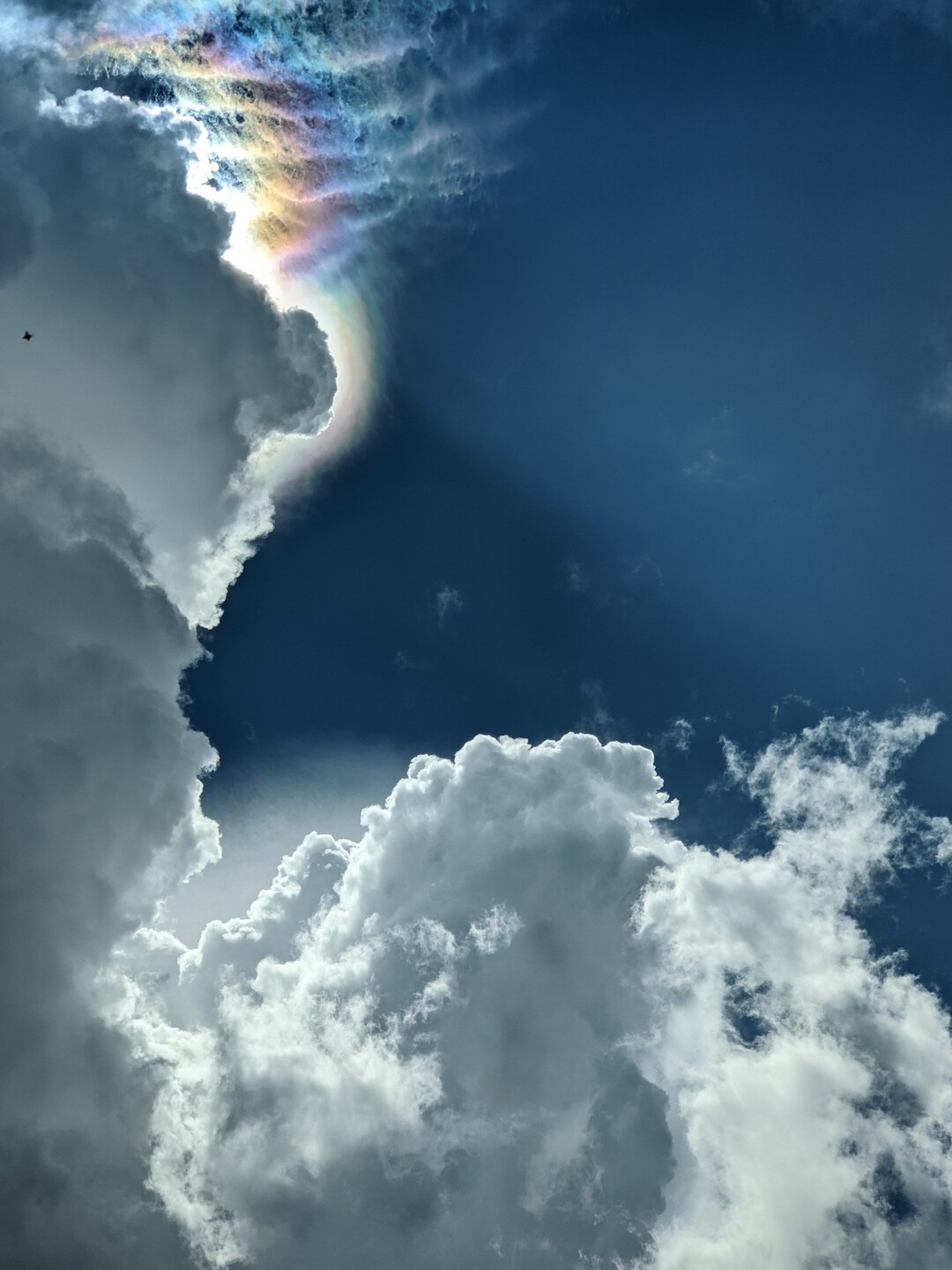 2022/6/28 アラシノアトの空 / えみっちさんのモーメント | YAMAP / ヤマップ