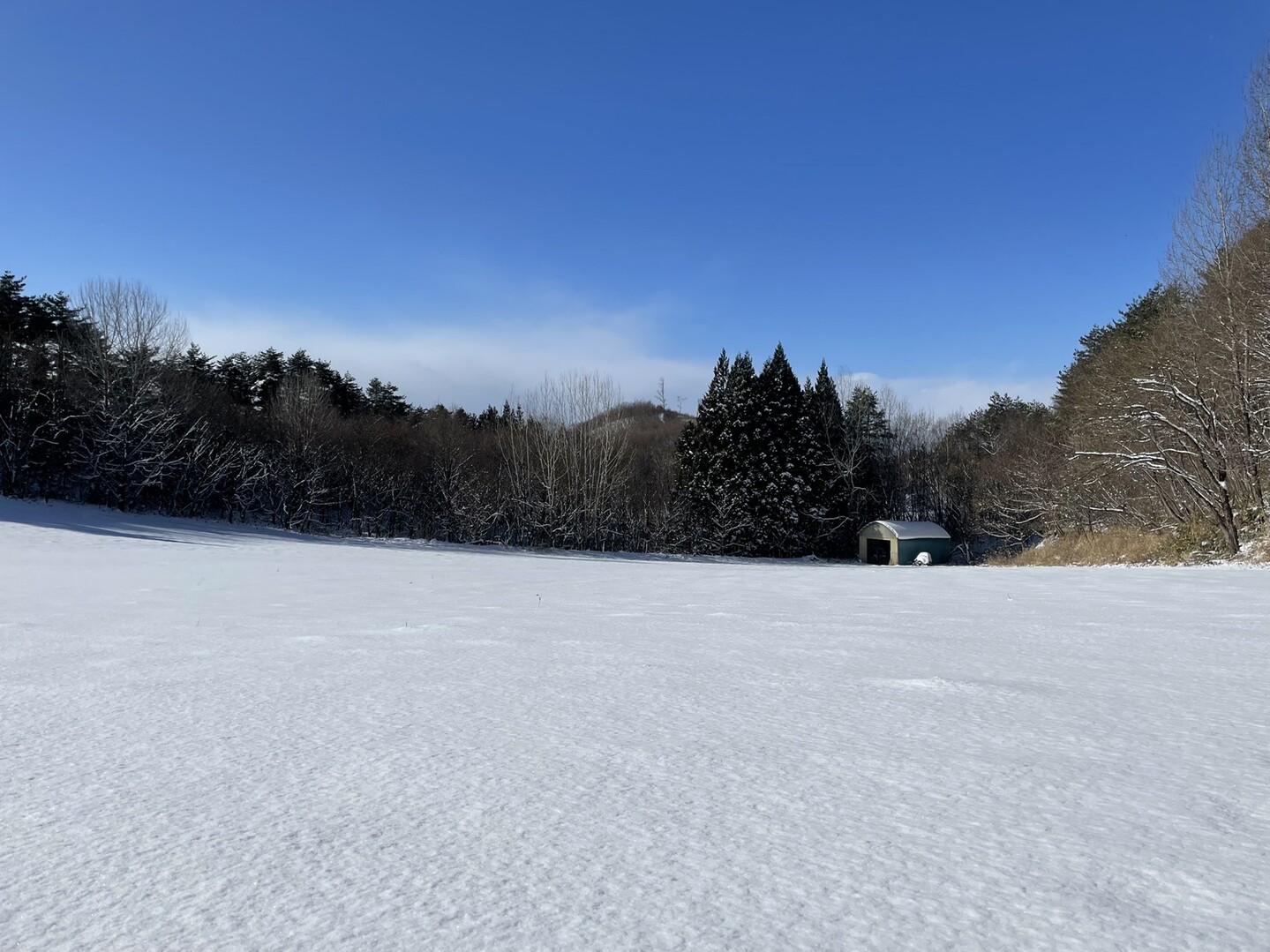 二ッ森山 2022登り初め / hirosyさんの高洞山の活動日記 | YAMAP / ヤマップ